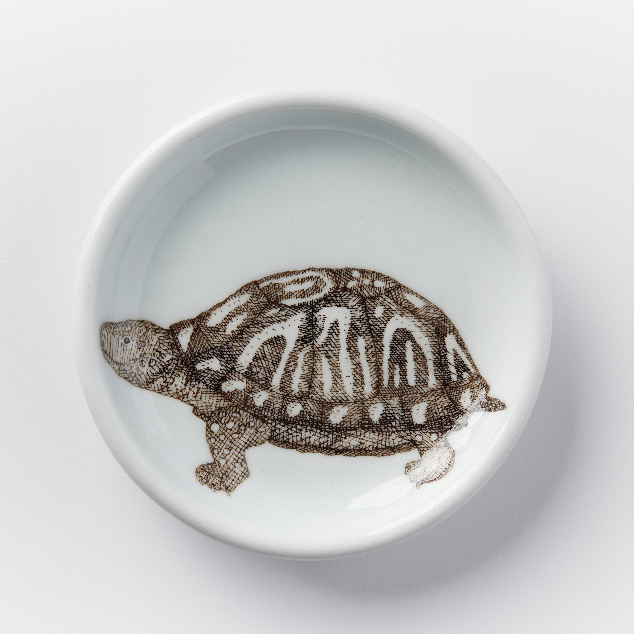 SKT Ceramics White Porcelain Box Turtle Everything Dish | SKT Ceramics & Illustration