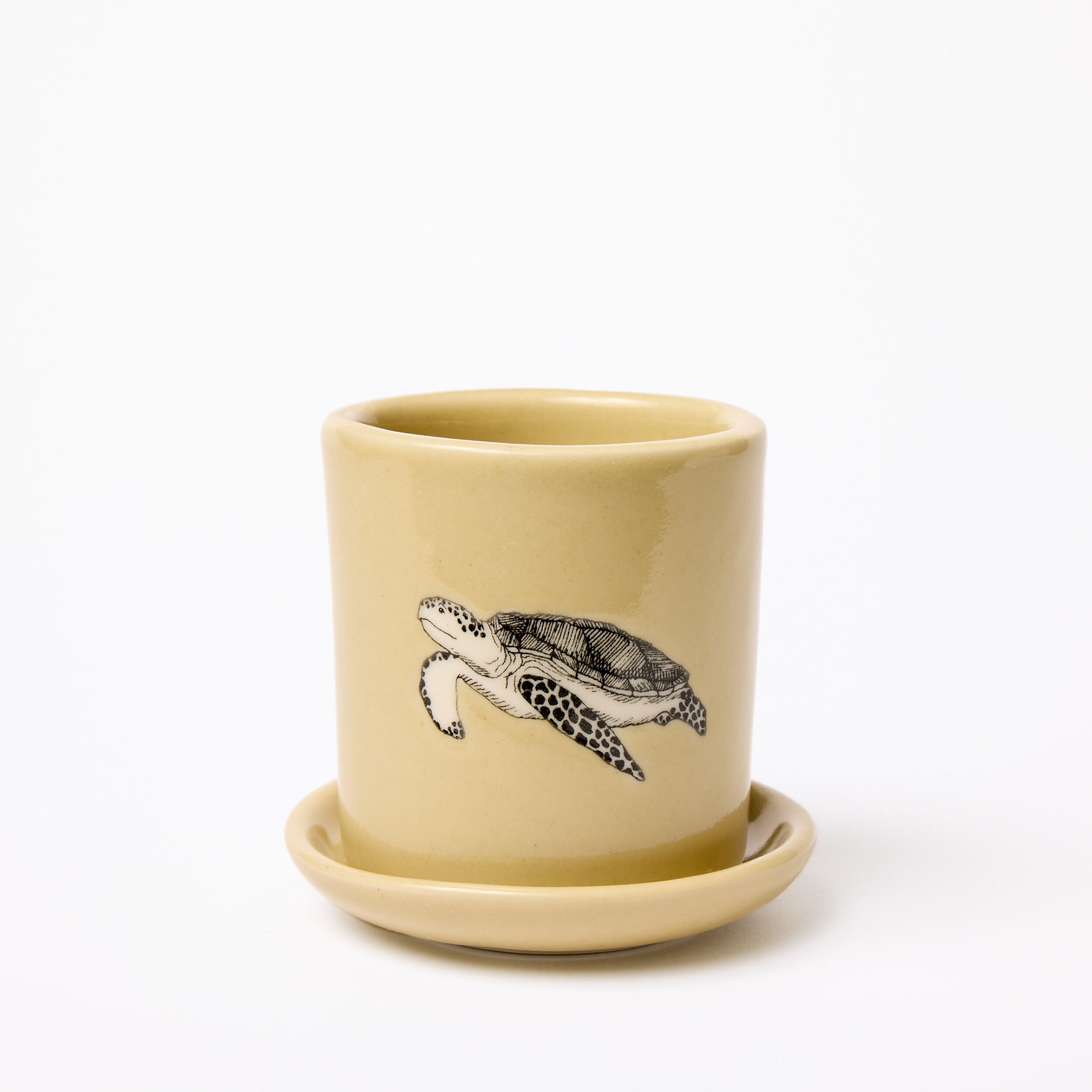 SKT Ceramics Small Citron Sea Turtle Cup Planter | SKT Ceramics & Illustration