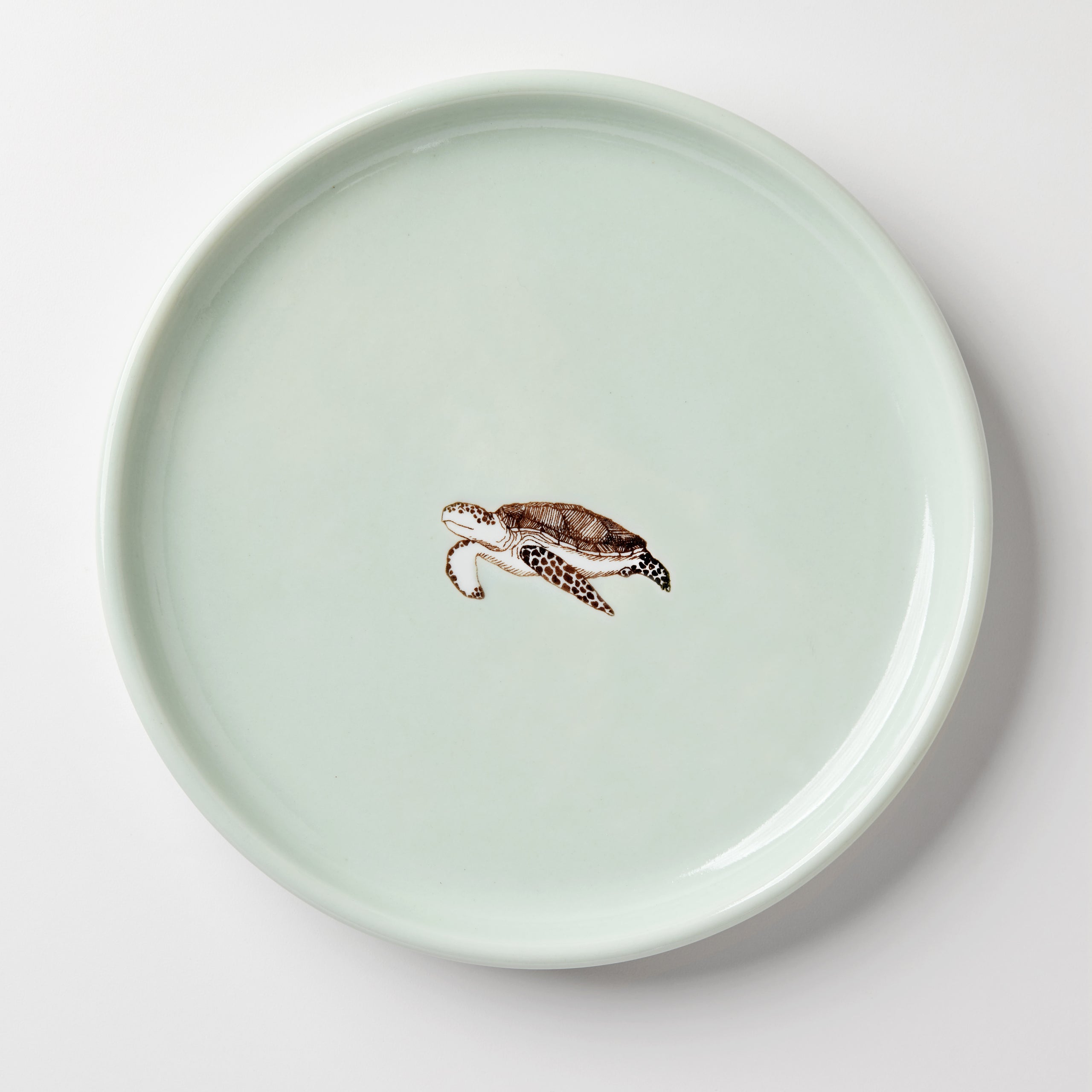 SKT Large Celadon Sea Turtle Plate | SKT Ceramics & Illustration